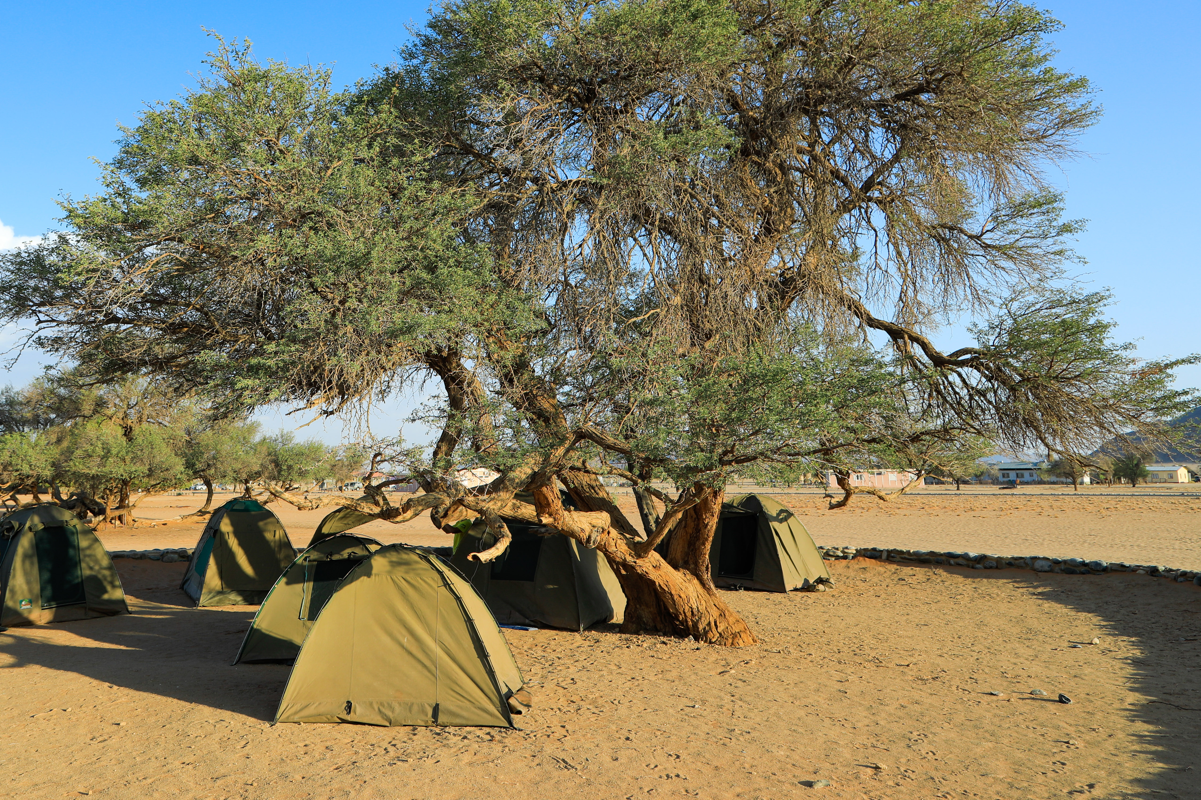 Tour | Discover Namibia - Camping | Exodus Adventure Travels | AZN