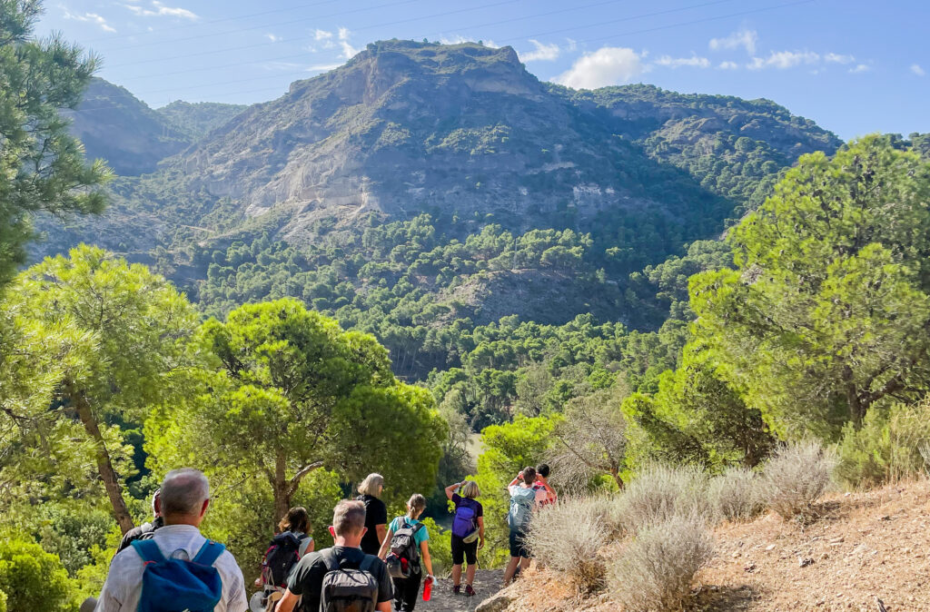Your 2024 Adventures, Wrapped – 5 Top-Rated Trips That Defined Your ...