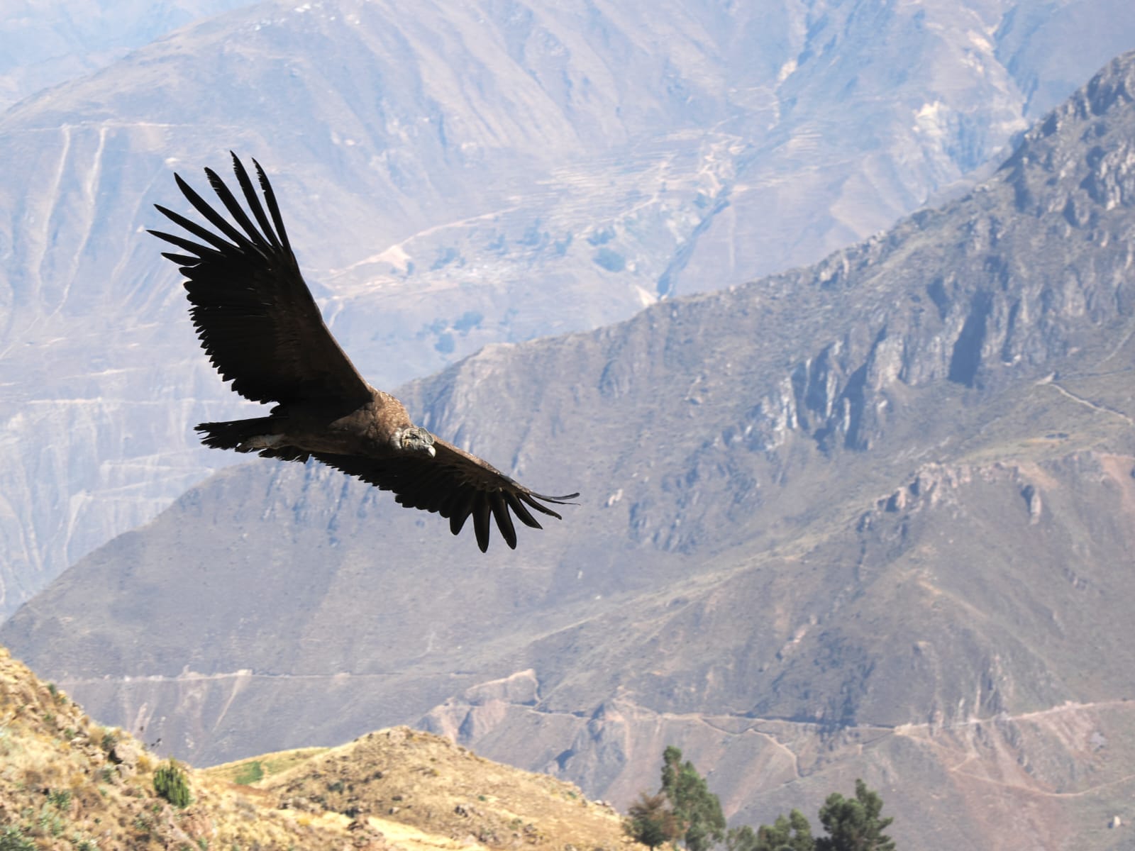 Tour | Essential Peru | Exodus Adventure Travels | APD