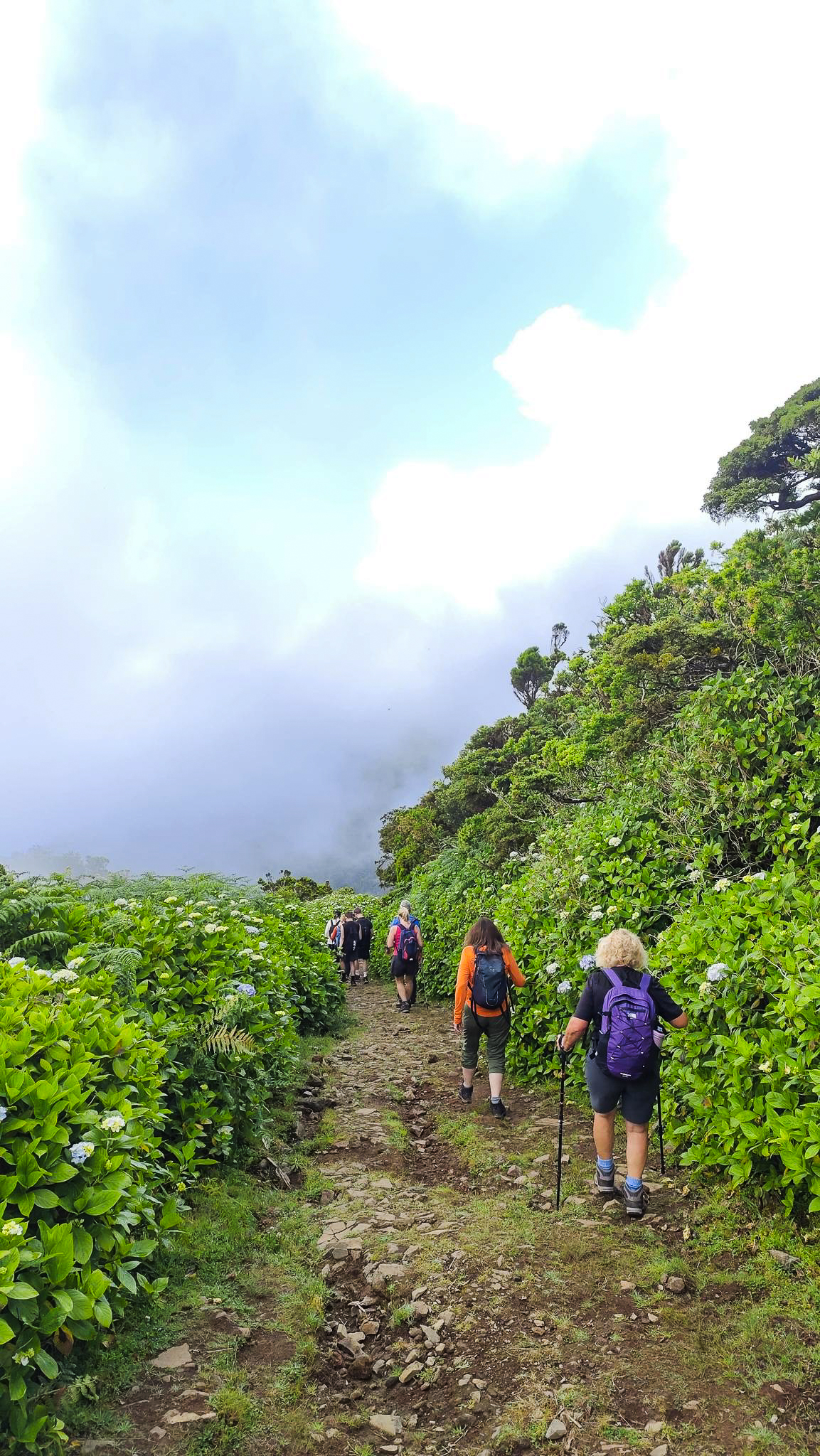 Tour | Walking in the Azores | Exodus Adventure Travels | TSZ