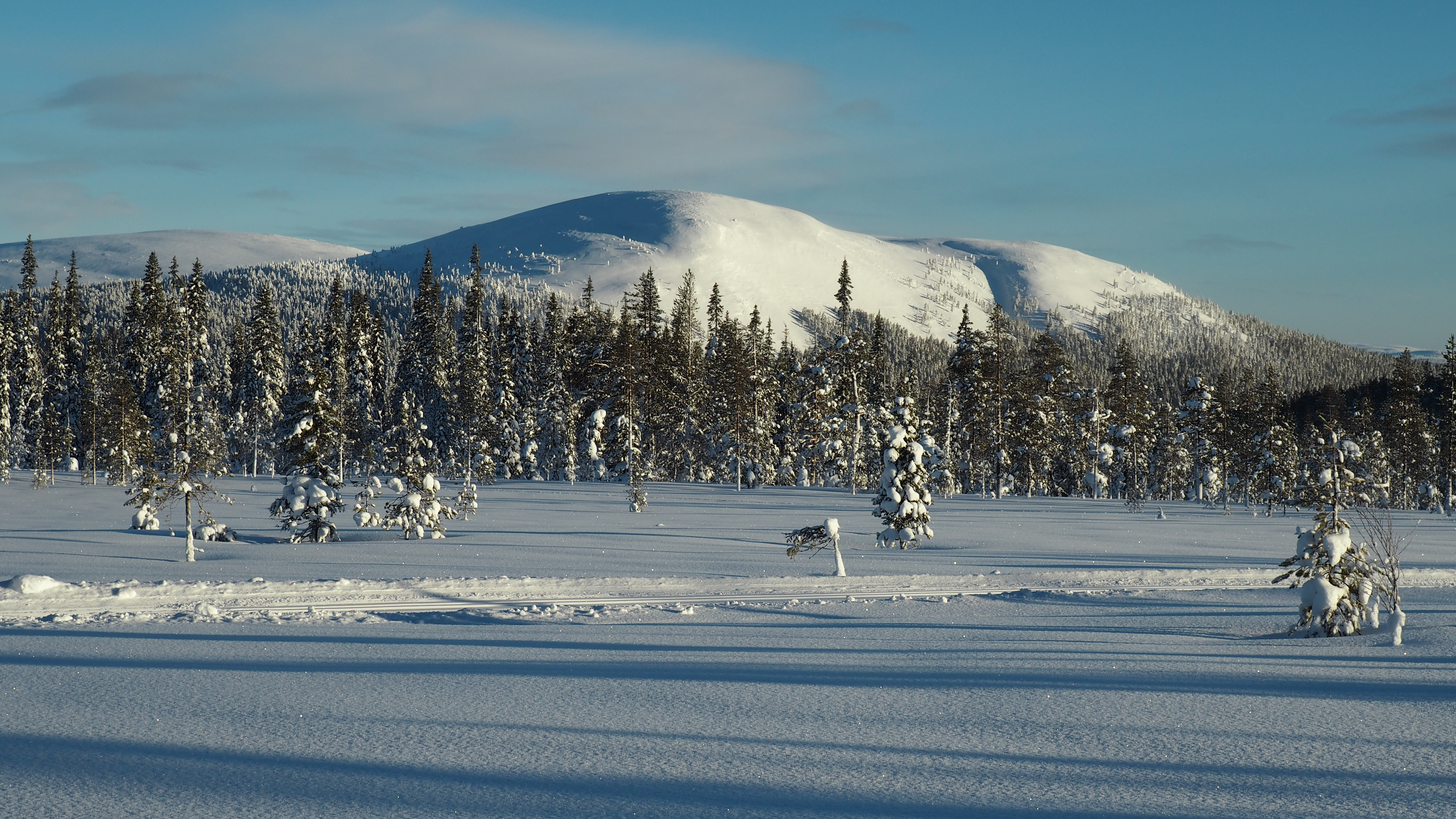 Tour | Cross-Country Skiing in Lapland | Exodus Adventure Travels | K07FL
