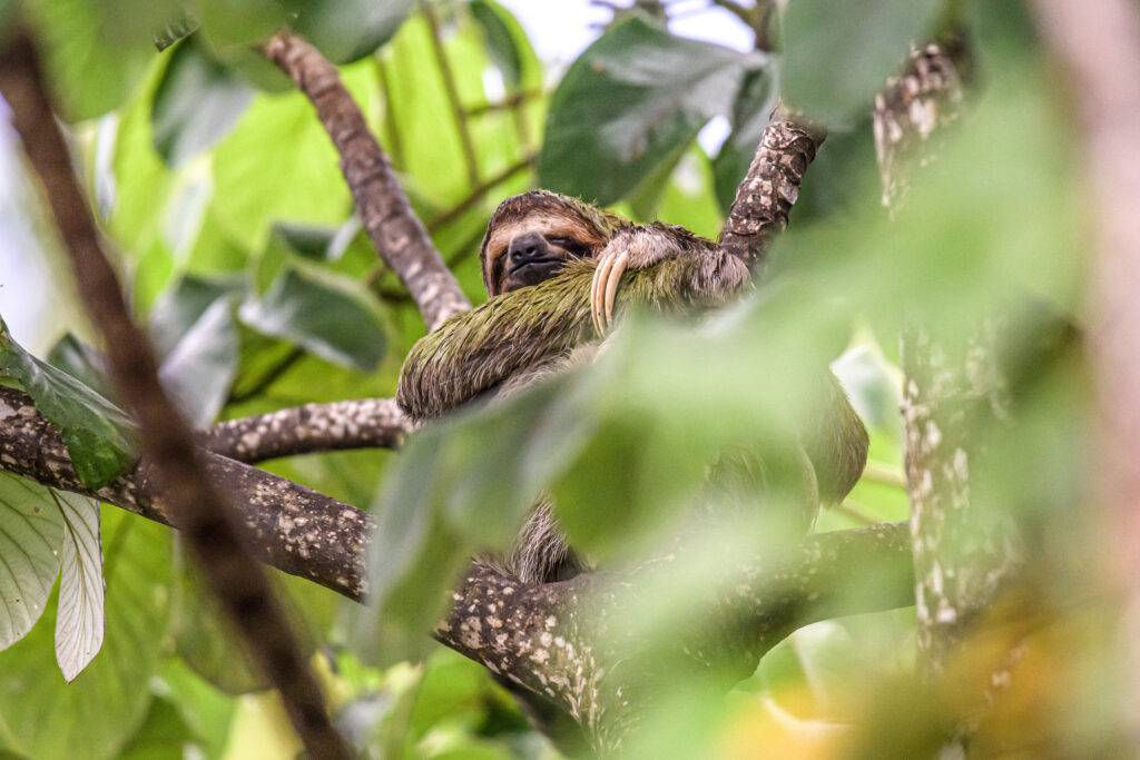 Discover Costa Rica – Coastal Edition | Exodus