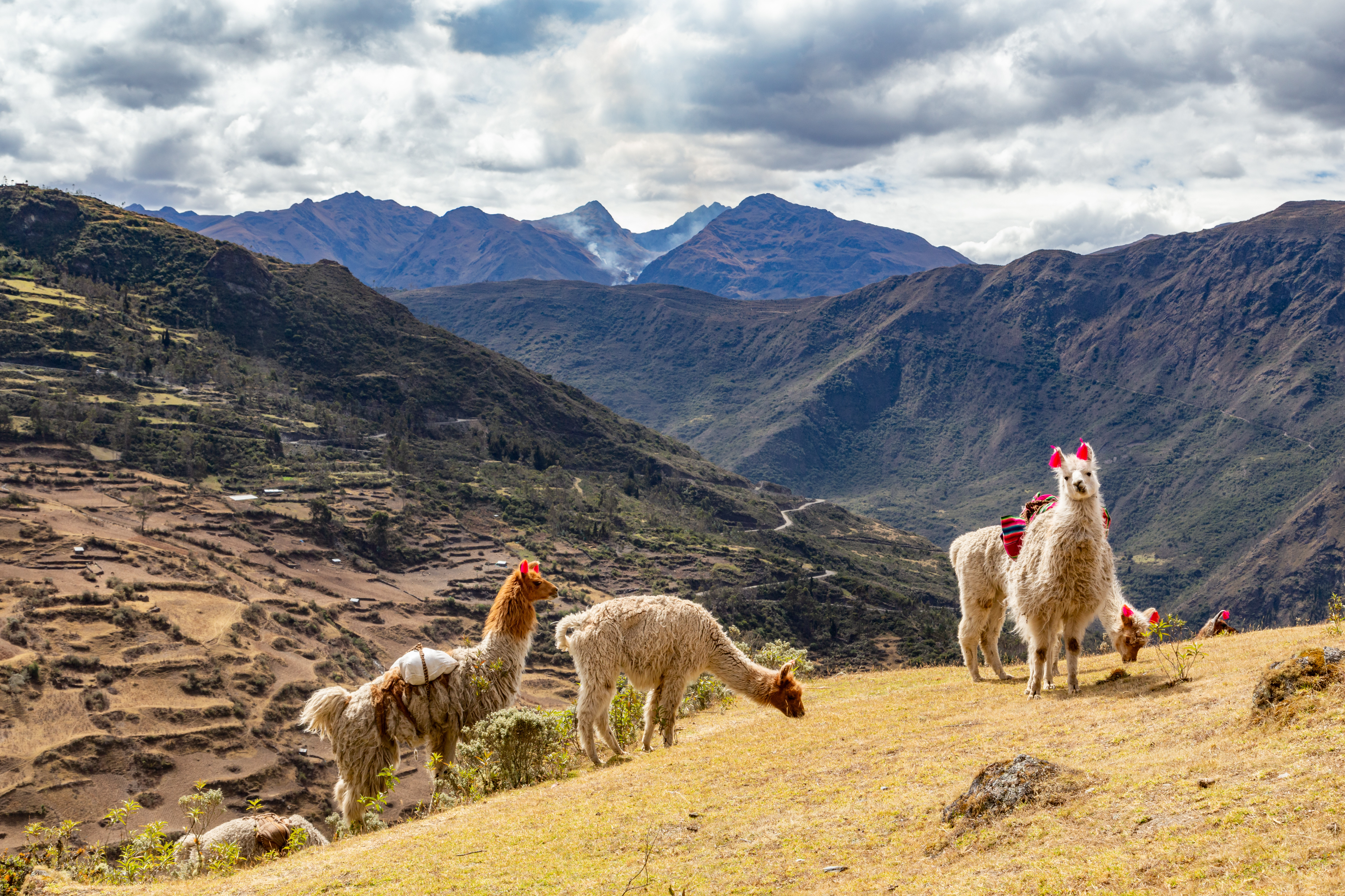 Tour | Lares Trek to Machu Picchu | Exodus Adventure Travels | TPA